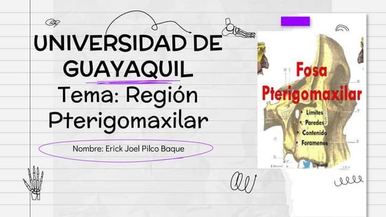 region geniana.pptx | Blood Disorders | Diseases and Conditions