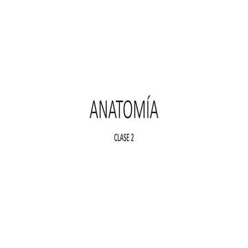 ANATOMIA 2.pptx