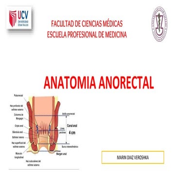 Anatomia anorrectal - | PPTX