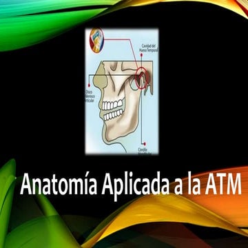 Anatomía Aplicada a la ATM.pptx