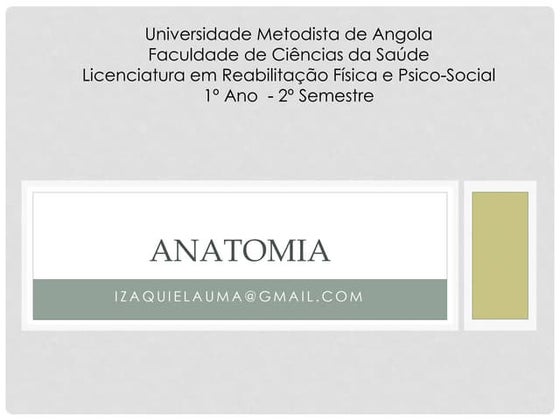 Medresumos 2016 Neuroanatomia 09 Estrutura E Funções Do Cerebelo Pdf