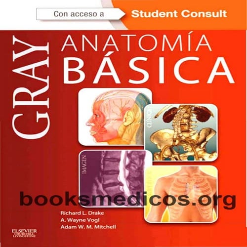 Anatomia Basica - Gray.pdf EDICIÓN ESPAÑOL COMPLETO | PDF