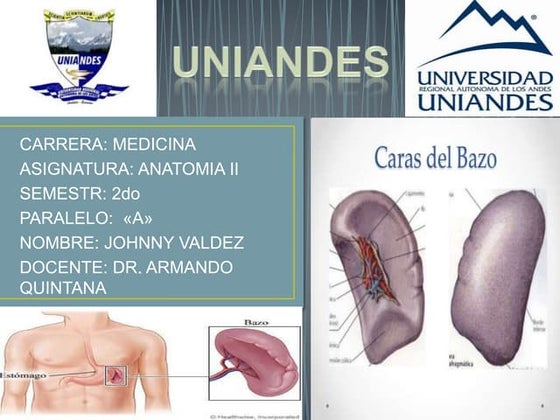 PATOLOGÍA QUIRÚRGICA DEL BAZO Y SISTEMA VASCULAR PERIFÉRICO | PPTX