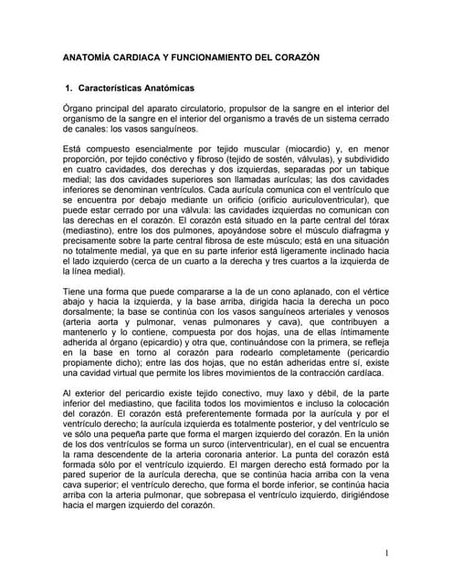 Sin. ant. homon. sign. palabras | PDF