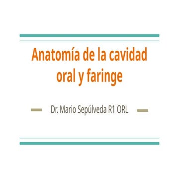 Anatomia de la orofaringe | PPTX