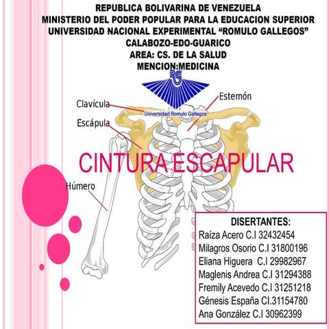 REGION ESCAPULAR TRAUMATOLOGIA Y ORTOPEDIA | PPTX