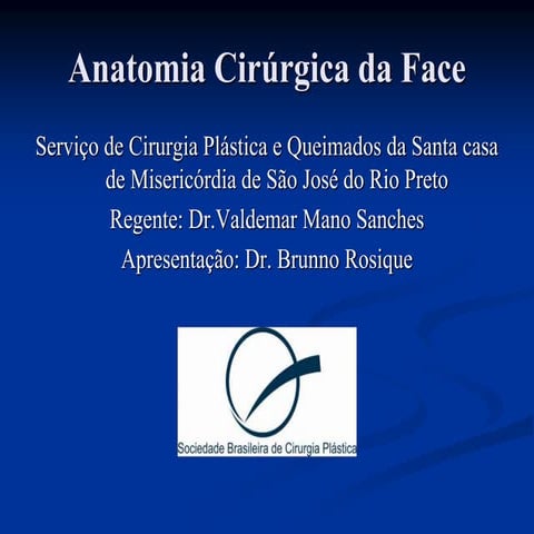 Anatomia da Face Irrigação e Inervação | DOC