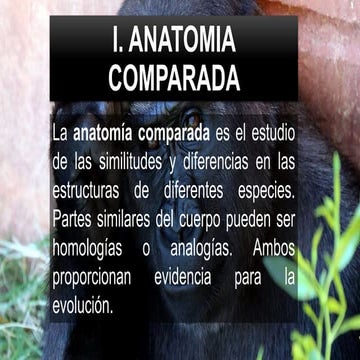 Definición De Anatomía Comparada BIOLOGIA | ANATOMÍA COMPARADA