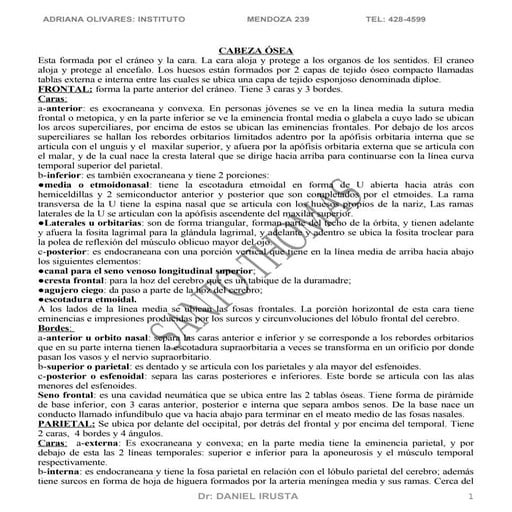 Anatomia Completo Doc