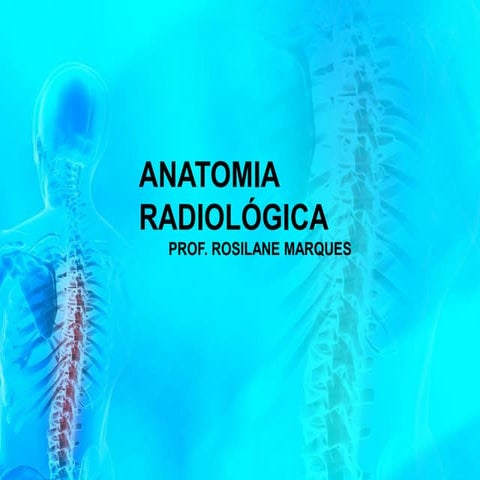 Anatomia c vertebral 2016 | PDF