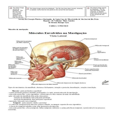 Anatomia da Face e Pescoço | DOC