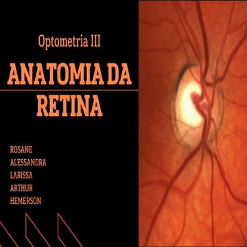 Anatomia da Retina, fuções, cones, bastonetes. | PDF