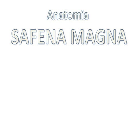 Anatomia da veia safena magna | PPTX