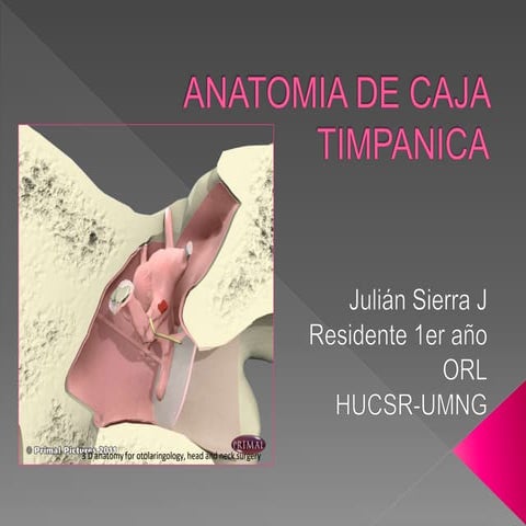 ANATOMIA DE CAJA TIMPANICA.ppt