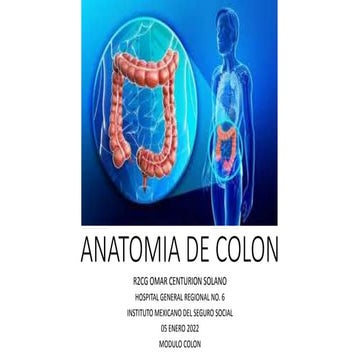 Imágenes De Anatomía Del Colon Apunte: Intestino Grueso | Anatomía