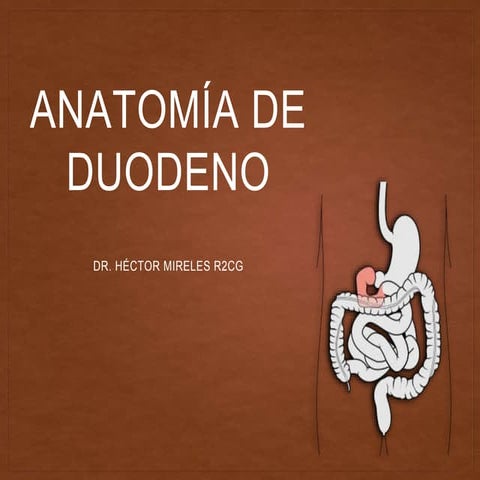 Duodeno. Sistema Digestivo | PDF