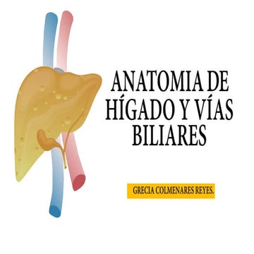 vias biliares irrigacion e inervacion ademas de drenja venoso | PPTX