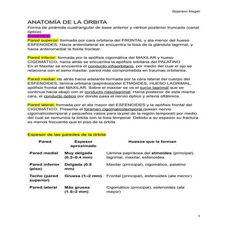 ANATOMIA - Region Cigomatica | PDF