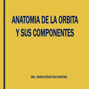 Anatomia de la orbita y sus componentes. | PPTX