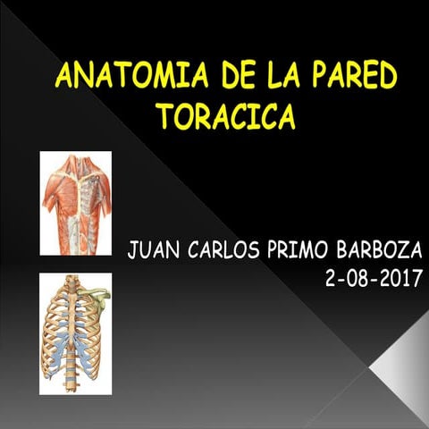 ANATOMIA DE LA PARED TORACICA JUAN.pptx