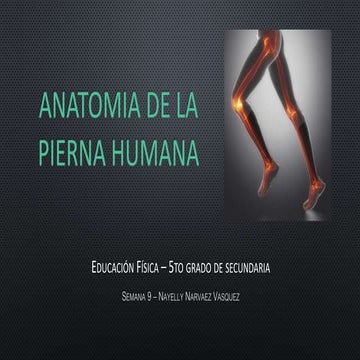 ANATOMIA DE LA PIERNA HUMANA.pptx