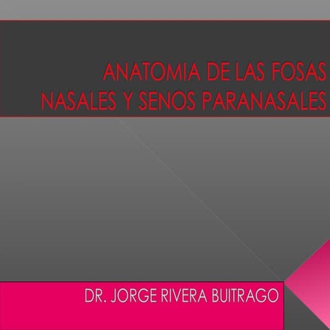 Anatomia de las fosas nasales y senos paranasales | PPT