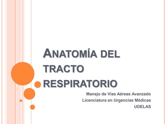 Ppt Fisiopatologia Del Sistema Respiratorio Powerpoint Presentation