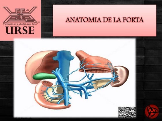 Portacaval Anastomosis | PPTX | Blood Disorders | Diseases and Conditions