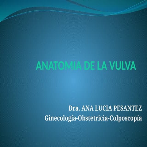 ANATOMIA DE LA VULVA (1) (5) (1) (1) (2).pptx