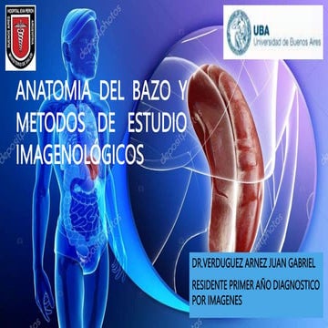 ANATOMIA Del BAZO Y METODOS DE ESTUDIO.pptx