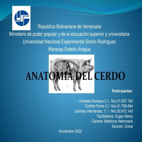 Anatomia y Fisiologia de los Cerdos.pptx