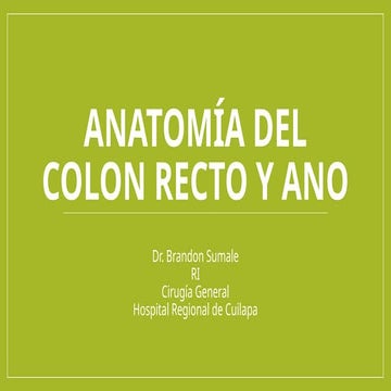 Anatomía y Fisiología del Colon, Recto y Ano: Desarrollo, Estructura y ...