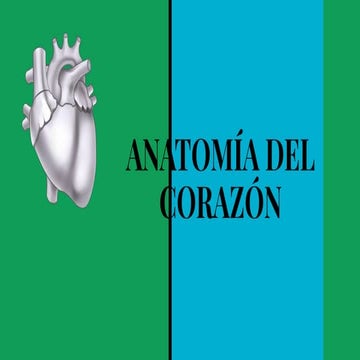 Anatomía corazón | PPTX