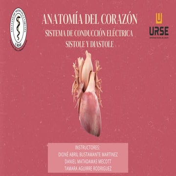 Inervación del Corazón - Intrínseca y Extrínseca | PPTX