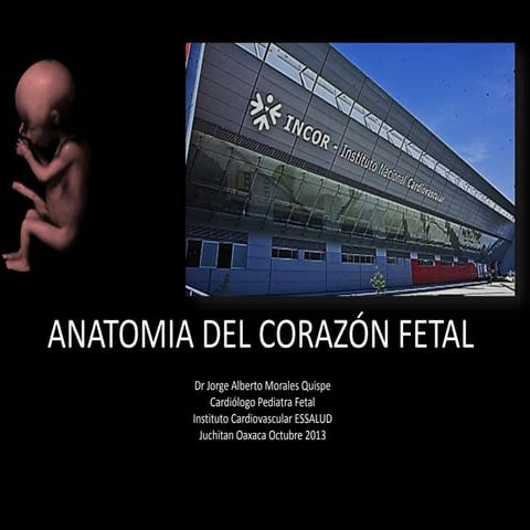 Anatomia del corazon fetal | PPTX