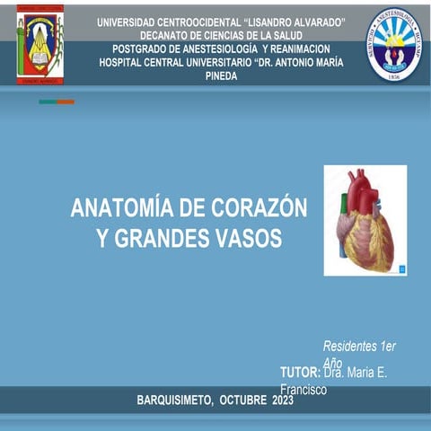 ANATOMIA DEL CORAZON Y GRANDES VASOS (1) (1).pptx