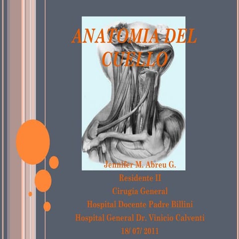 Anatomia del cuello definitiva | PPT