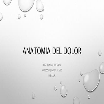 Anatomia del dolor | PPTX