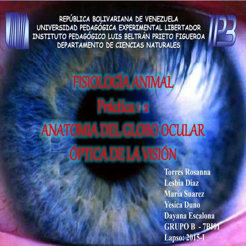 Anatomia del ojo y optica de la vision | PPTX