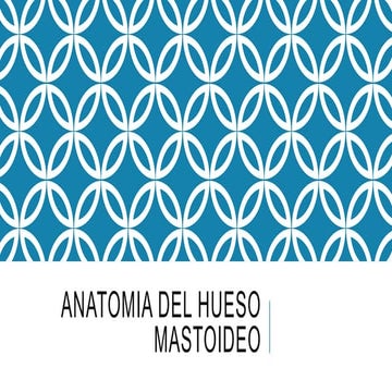 ANATOMIA DEL HUESO MASTOIDEO.pptx