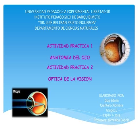 Anatomia del ojo, optica de la vision | PPTX