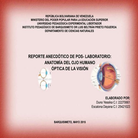 Anatomia del ojo y optica de la vision | PPTX