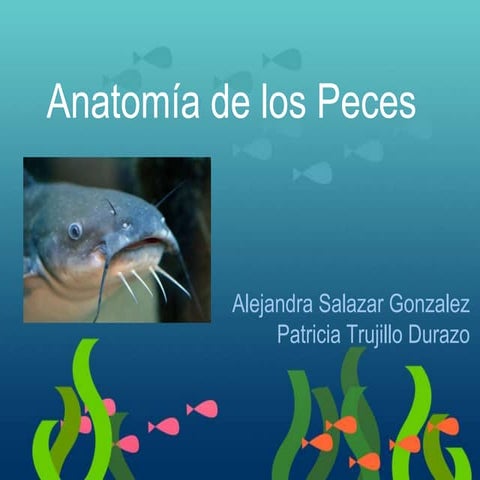 Anatomía De Los Peces Ppt