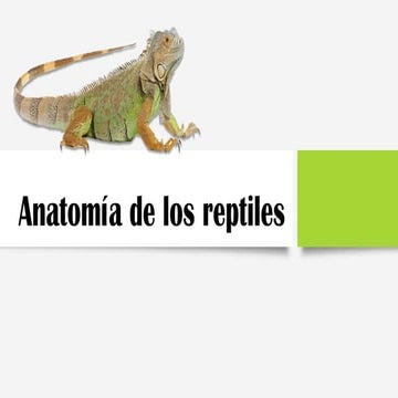 Anatomia de los reptiles y su descripción | PDF