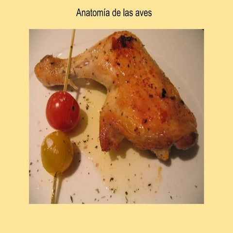 Anatomía Del Músculo Del Pollo Musculo Ave Anatomia Animal Arte,