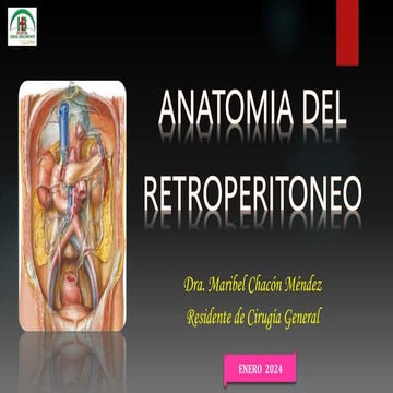 anatomia del retroperitoneo del abdomen.pptx