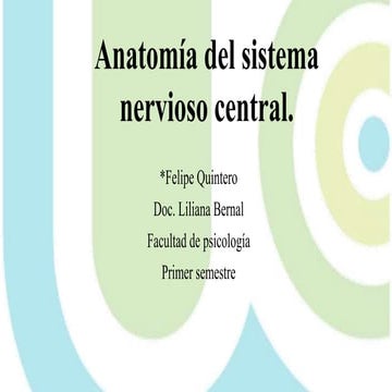 Anatomia del snc | PPTX