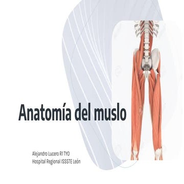 Anatomía de muslo .pptx