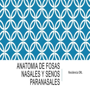 Anatomia de nariz, fosas nasales y senos paranasales.pptx