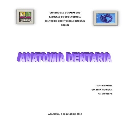 Anatomia Dentaria Diente Lijado | DOCX